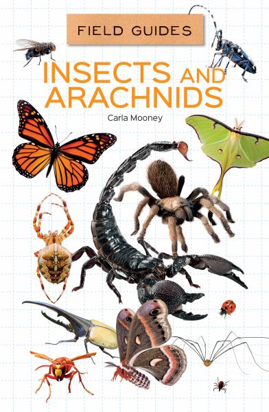 Insects and arachnids (Field Guides for Kids) – Follett Book eFairs