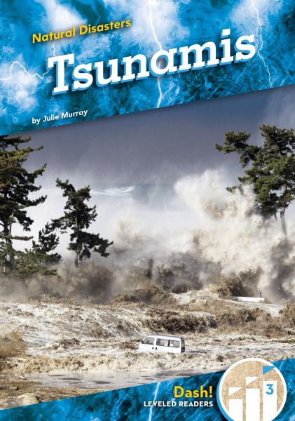 Tsunamis (Dash! Leveled Readers Level 3: Natural Disasters) – Follett ...